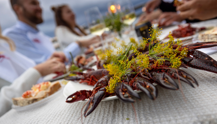 Axopar - Live Your Adventure! » Axopar Boats